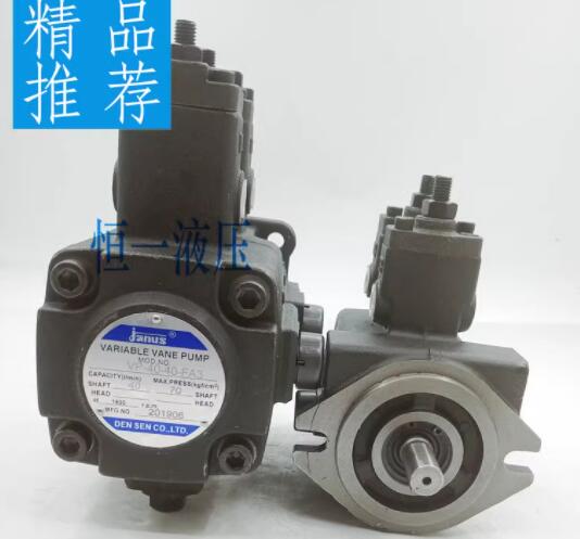 JANUS hydraulic pump VP-12-12-FA3 VP-15-15-FA3 VP-20-20-FA3 VP-30-30 ...