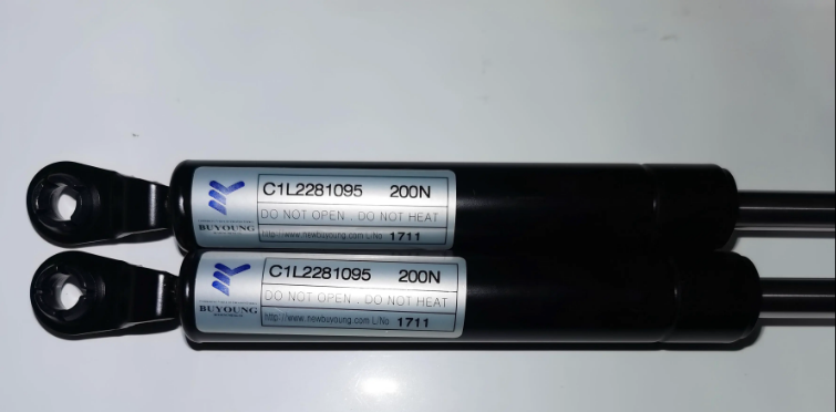 BUYOUNG B1K3365147 C1K3500200 B1K3300110 C1L2281095 100N 150N 200N 250N ...