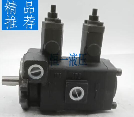JANUS hydraulic pump VP-12-12-FA3 VP-15-15-FA3 VP-20-20-FA3 VP-30-30 ...