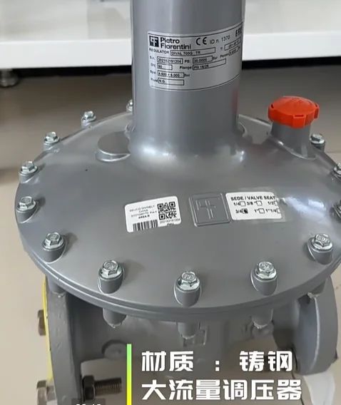 Pietro Fiorentini high flow regulator flange connection DIVAL 700 DN50 ...