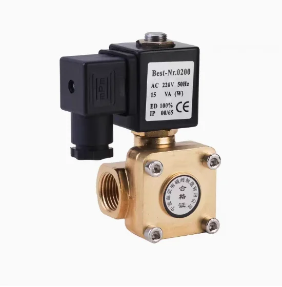 WANGTONG Pilot operated solenoid valve 2-【AC220V】0927000 DN08 2-【DC24V ...