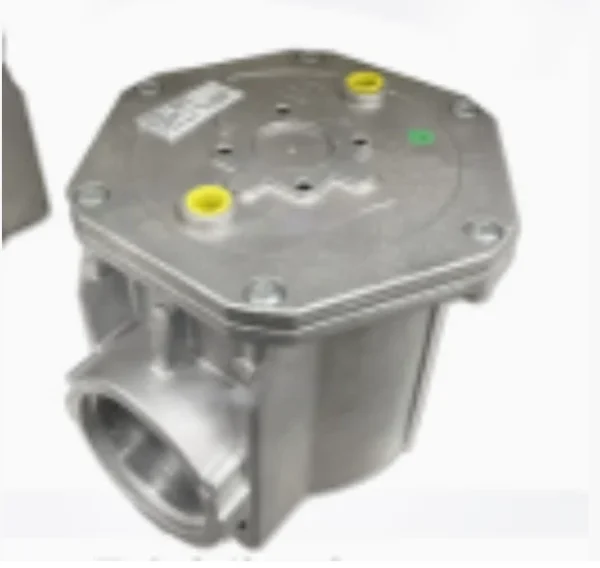 Pietro Fiorentini Gas filter FMF10608F1BA DN80 FMF10609F1BA DN100 10601 ...